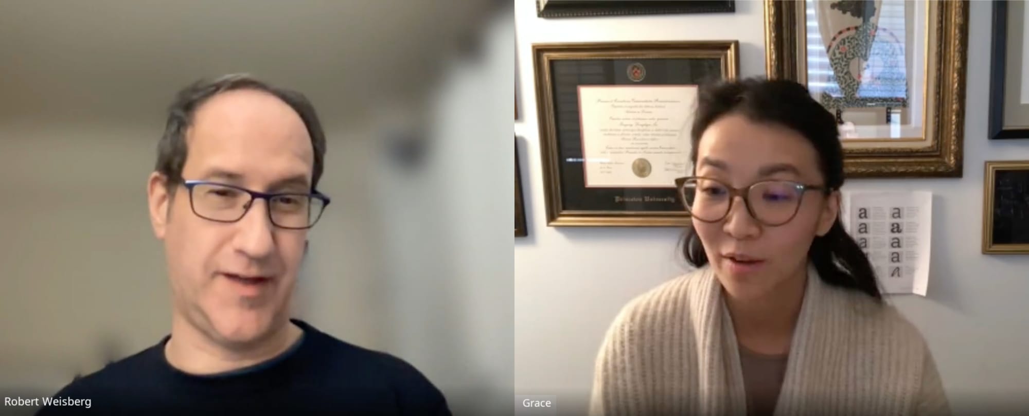 What Museum Human Means by "Hierarchy"